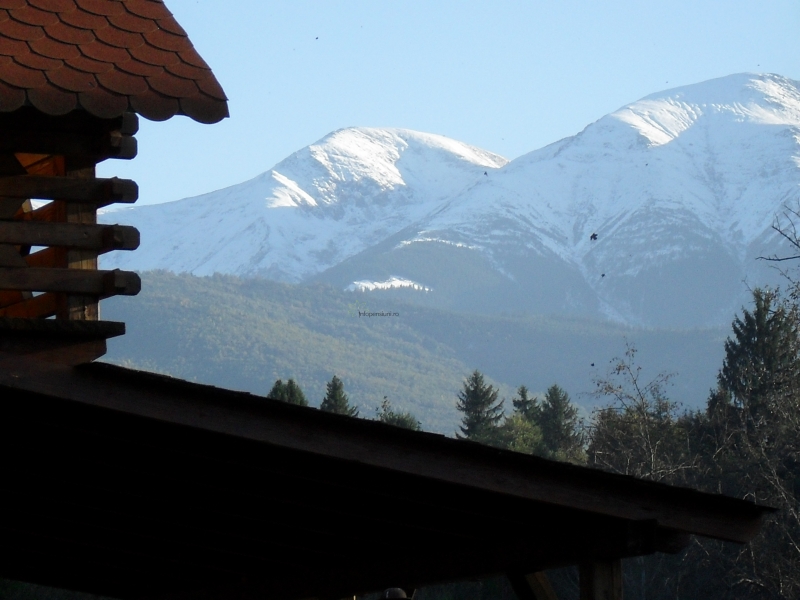 Pensiunea Casa Rustica Avrig Avrig 2** | Cazare in Avrig