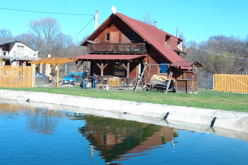 Pensiunea Casa Rustica Avrig Avrig 2** | Cazare in Avrig