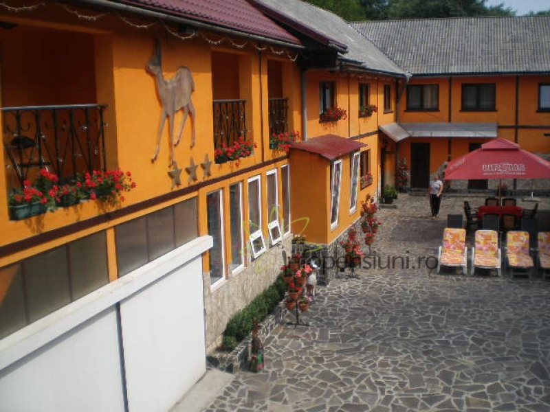 Pensiunea Complex Caprioara Baia Mare 3*** | Cazare in Baia Mare