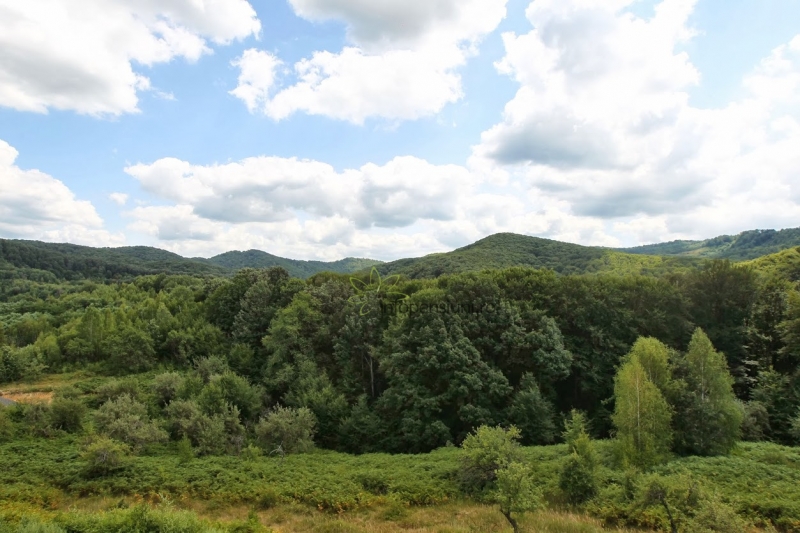 Complexul Turistic Zolt Faget 3*** | Cazare in Faget